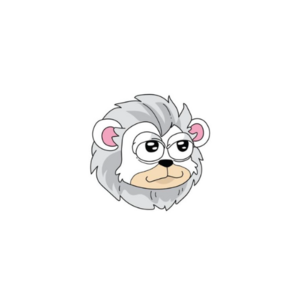 The Role of Influencers in Success of Meme Coins including Kimba The ...